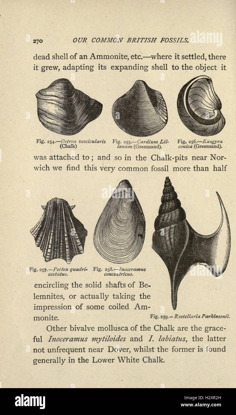 This work provides a guide to common British fossils, with details on ...