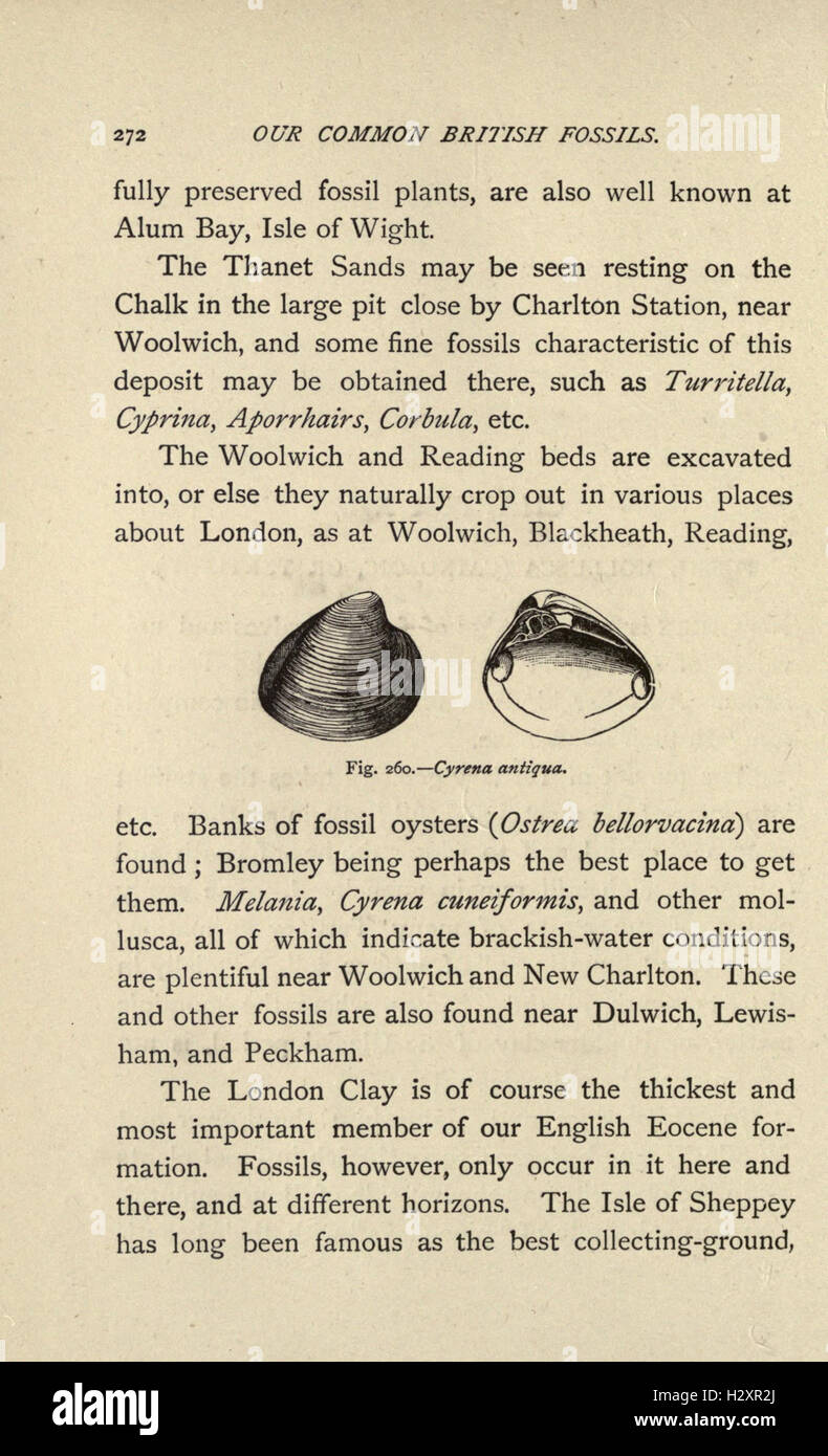 This guide provides information on common British fossils, detailing ...