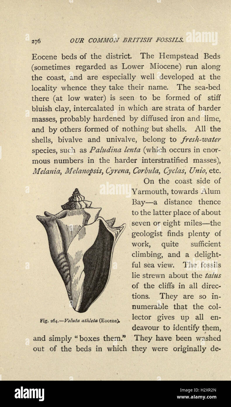 This work provides a comprehensive guide to the common fossils found in ...