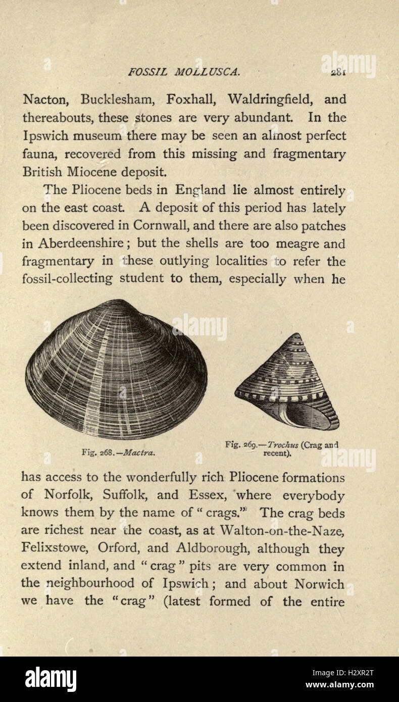 An informative guide to common British fossils and their locations ...