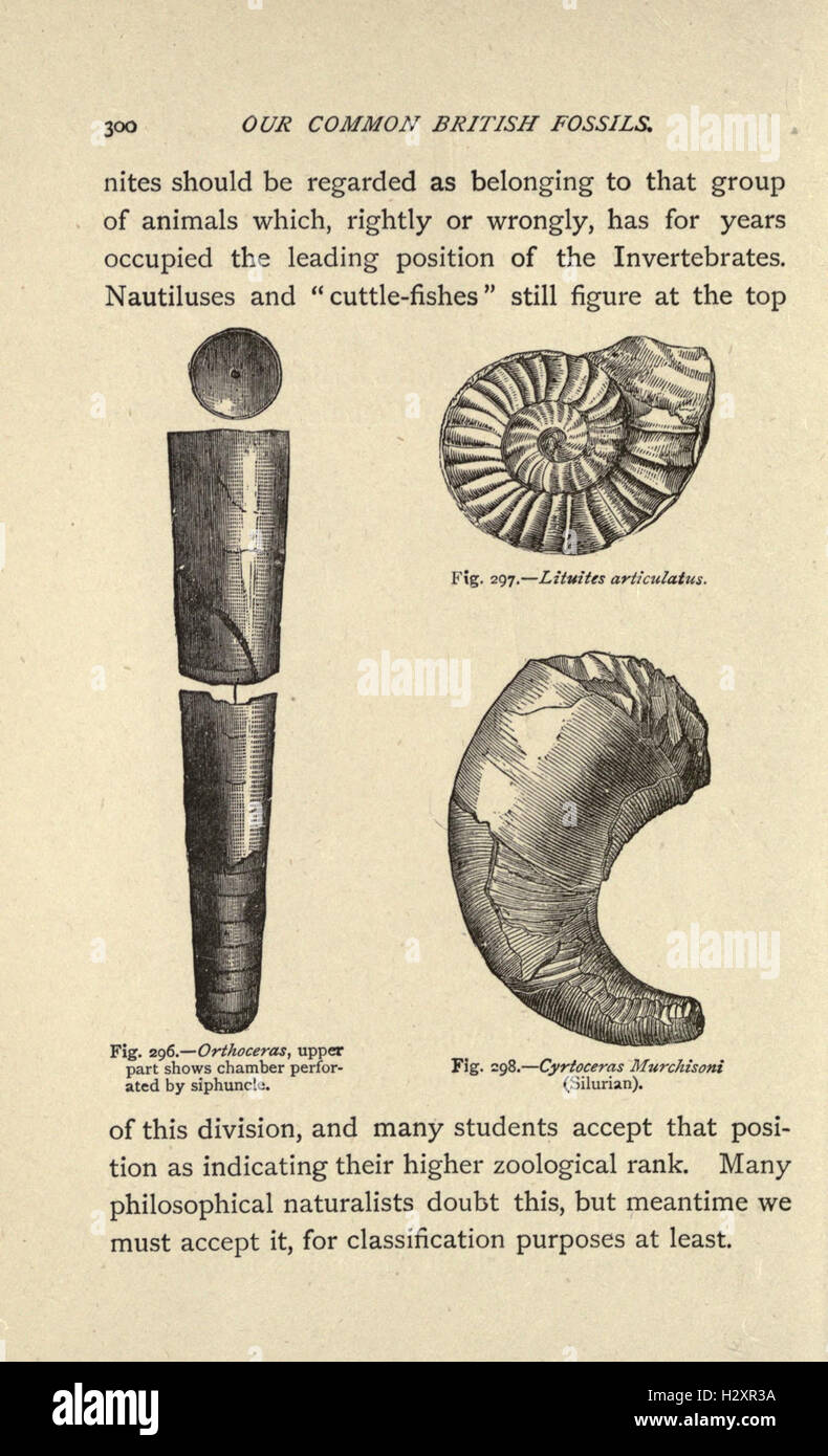 This guide provides descriptions and locations of common British ...