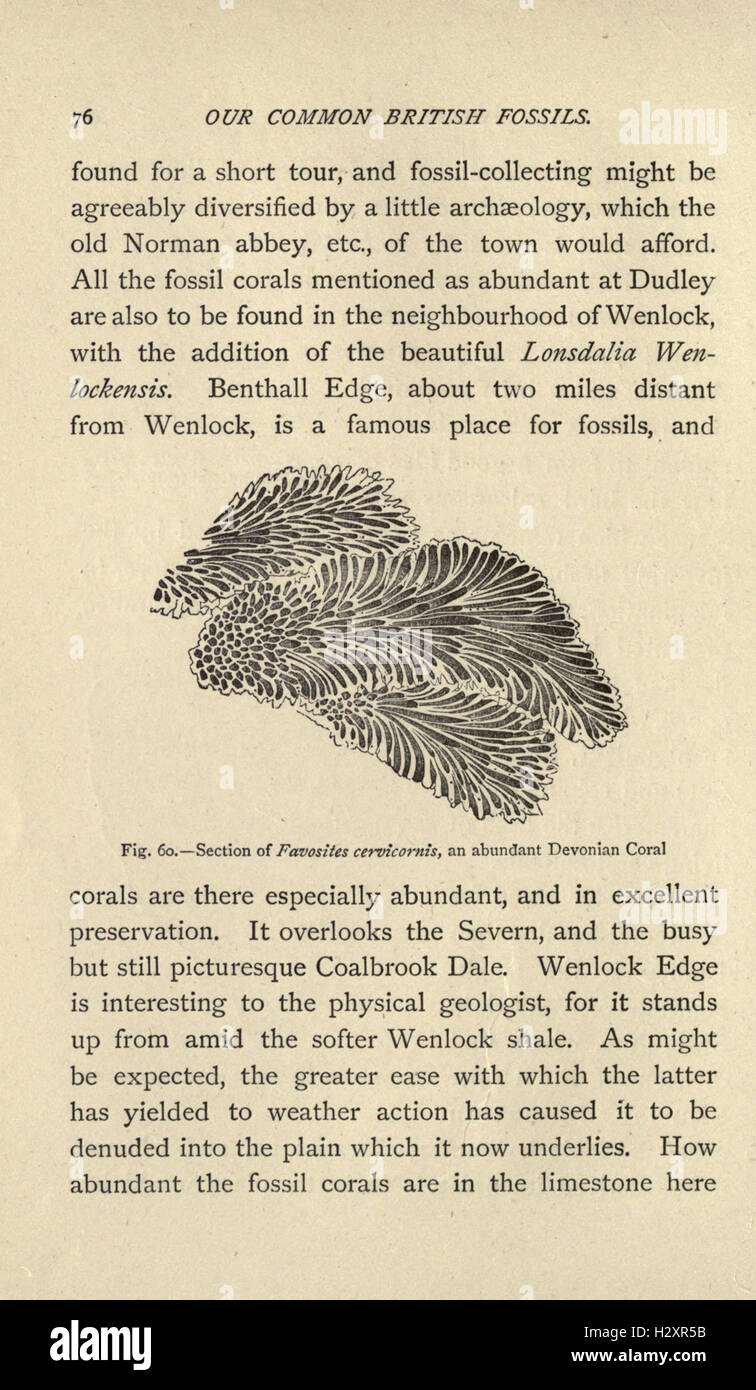 This work details common British fossils and provides a guide for ...