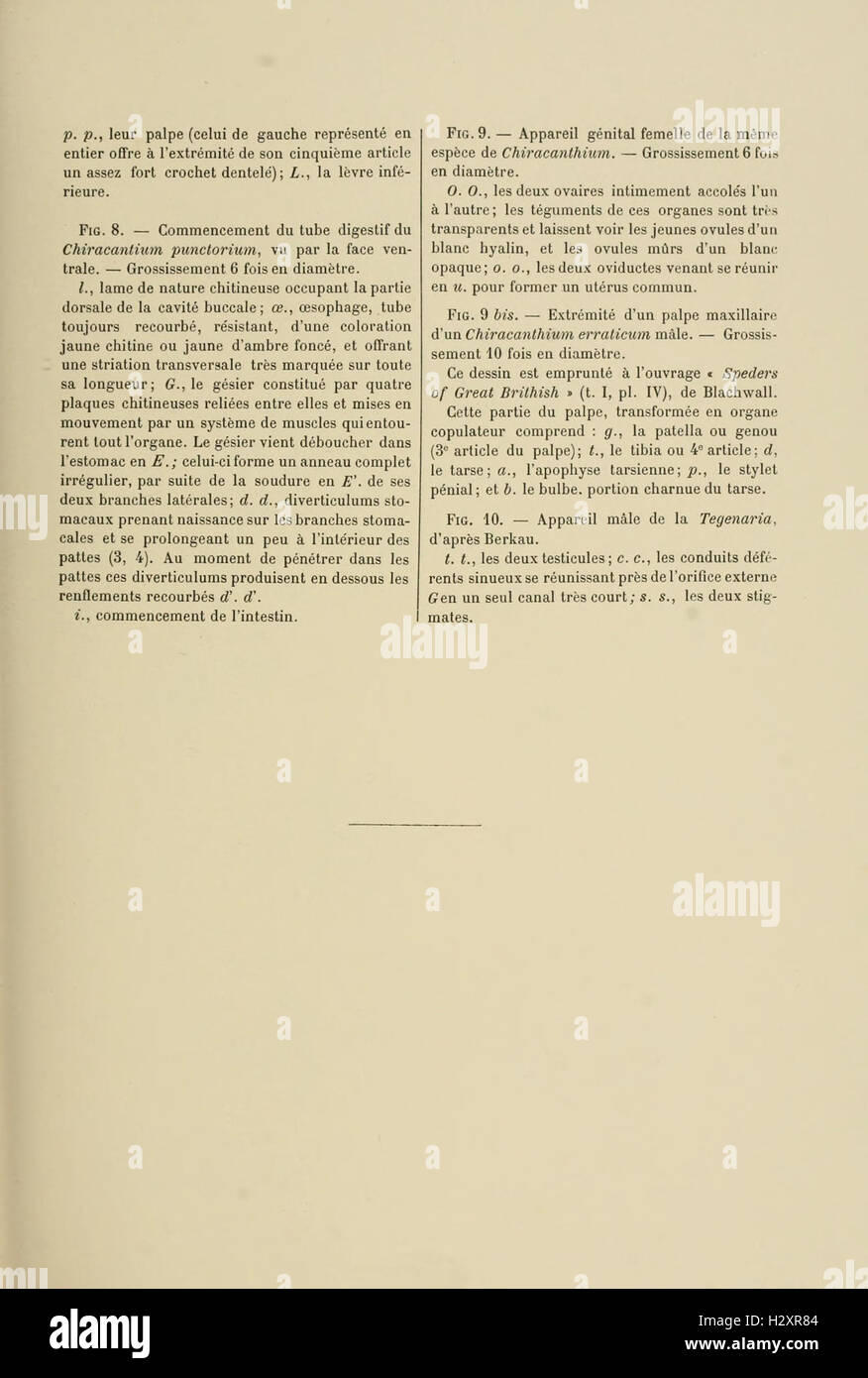 This atlas presents comparative anatomy of invertebrates, with detailed ...