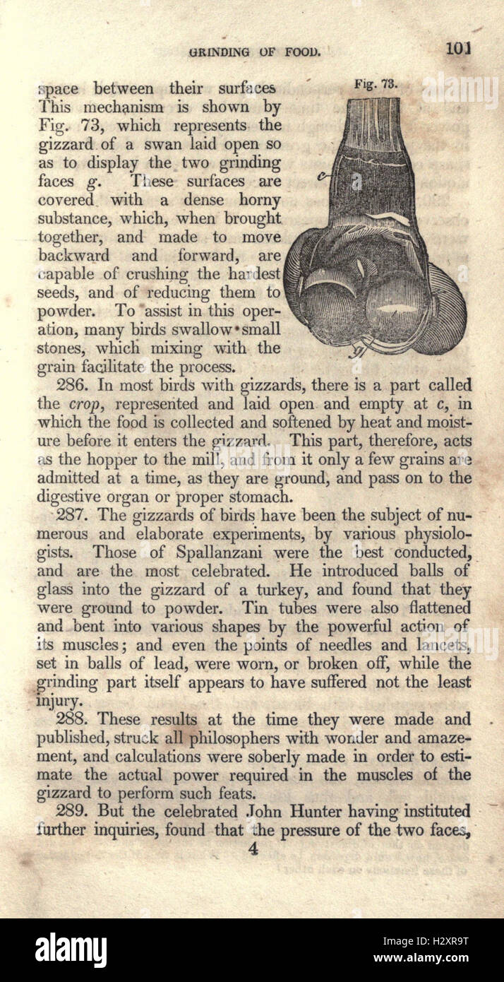 A comprehensive overview of physiology, discussing both human and ...