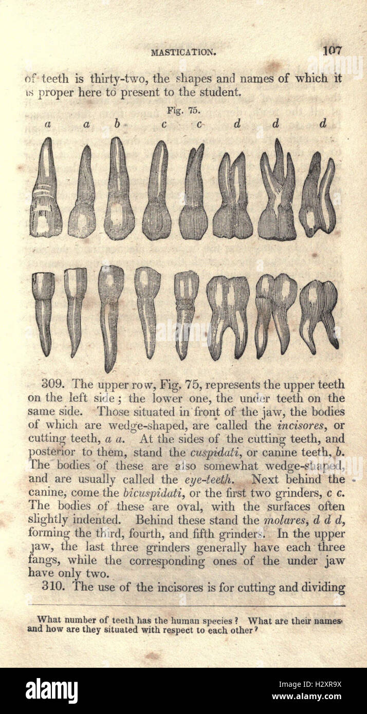 This book provides an outline of human and comparative physiology ...