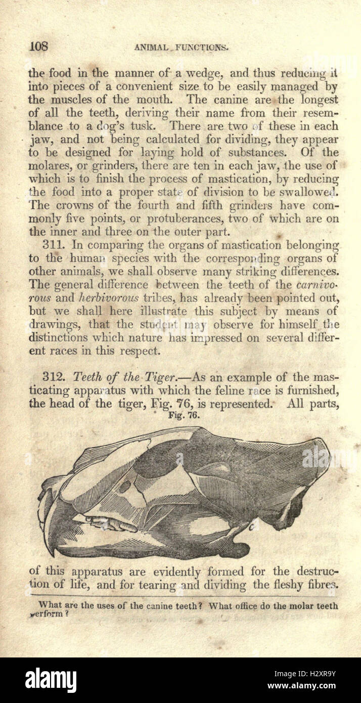 This text provides an overview of physiology, focusing on both human ...