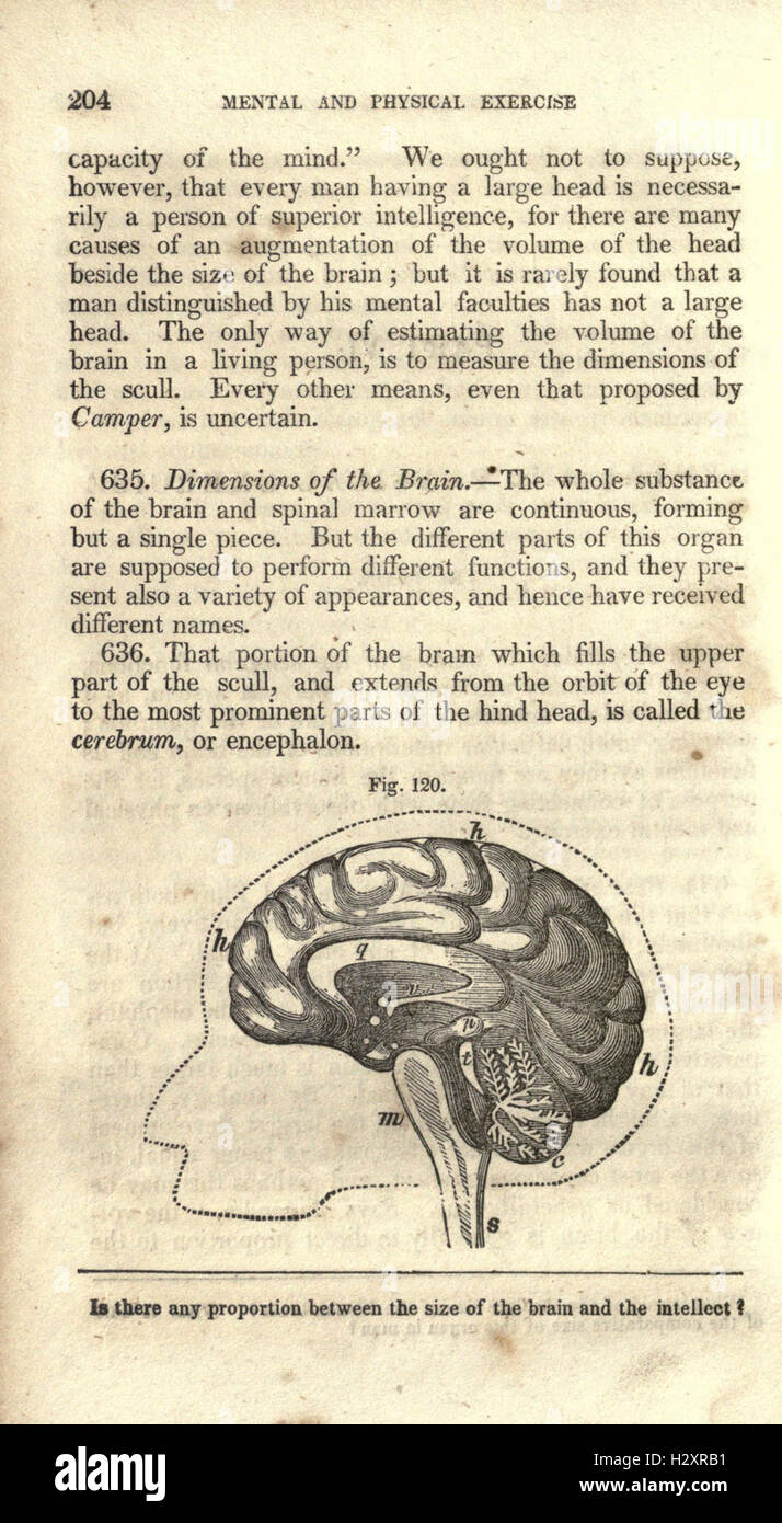 Page 204 of 'Outlines of Physiology' covers both comparative and human ...
