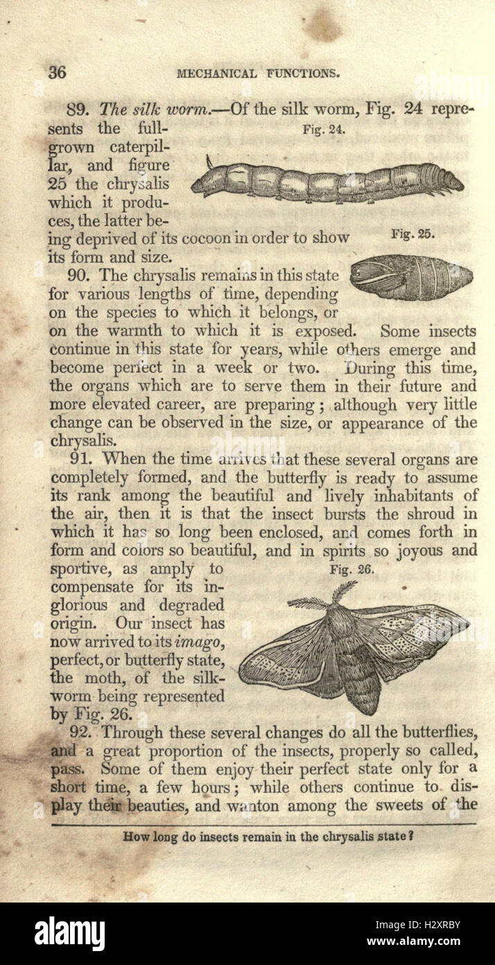 This textbook provides an overview of comparative and human physiology ...