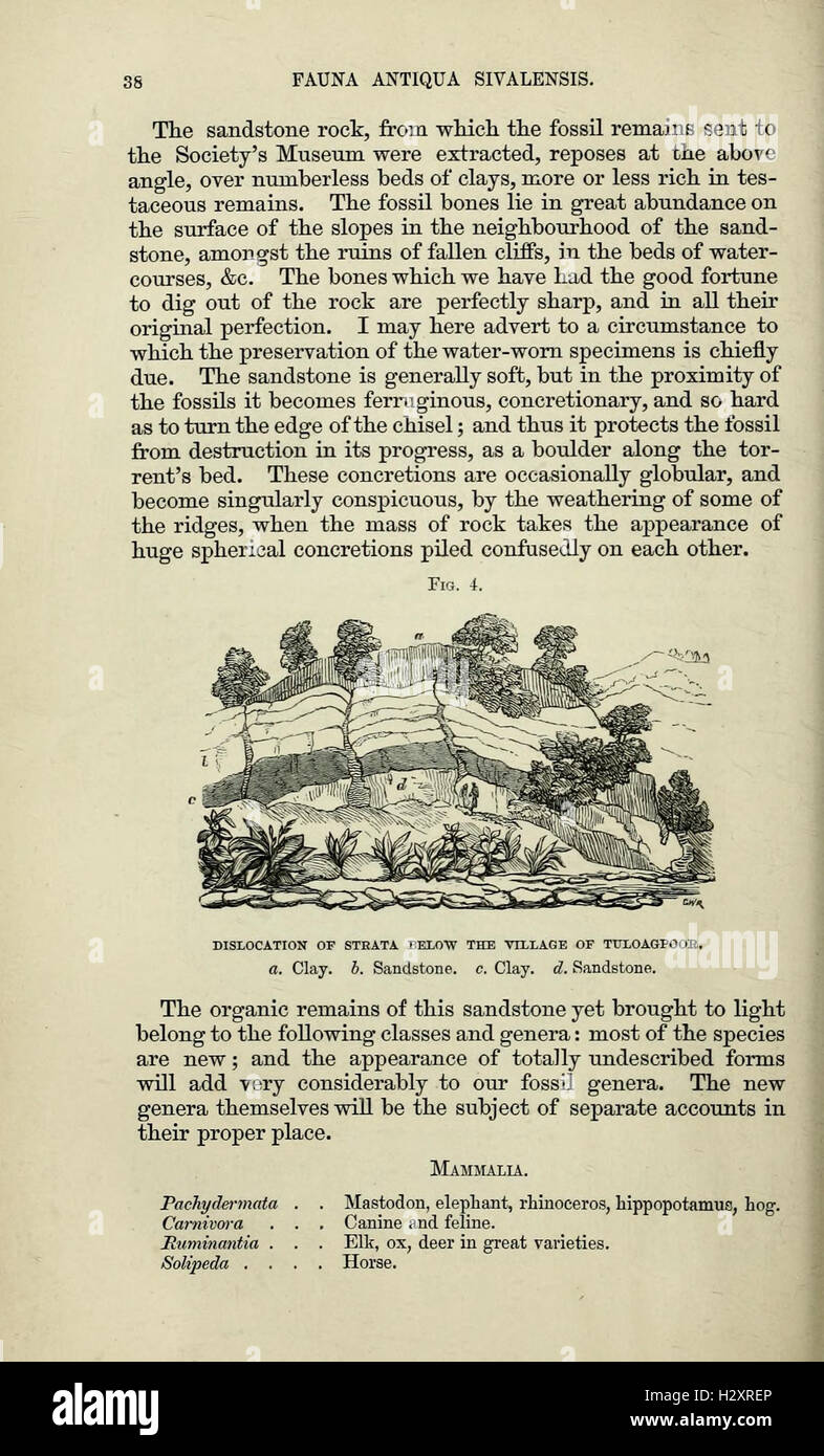 Map of falconer hi-res stock photography and images - Alamy