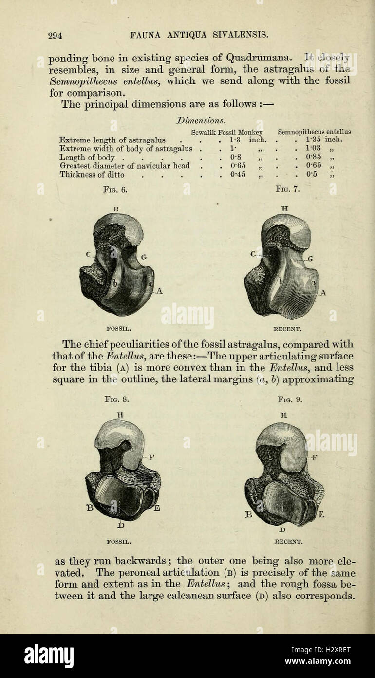 Map of falconer hi-res stock photography and images - Alamy