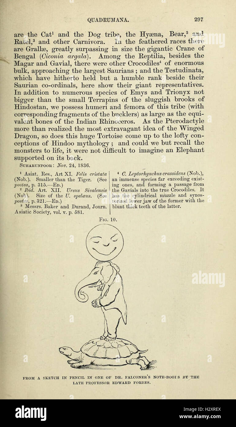 Map of falconer hi-res stock photography and images - Alamy