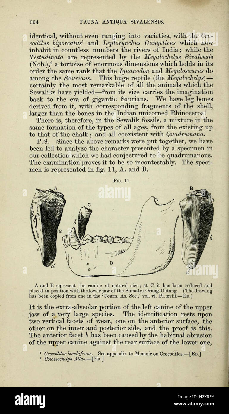 Map of falconer hi-res stock photography and images - Alamy