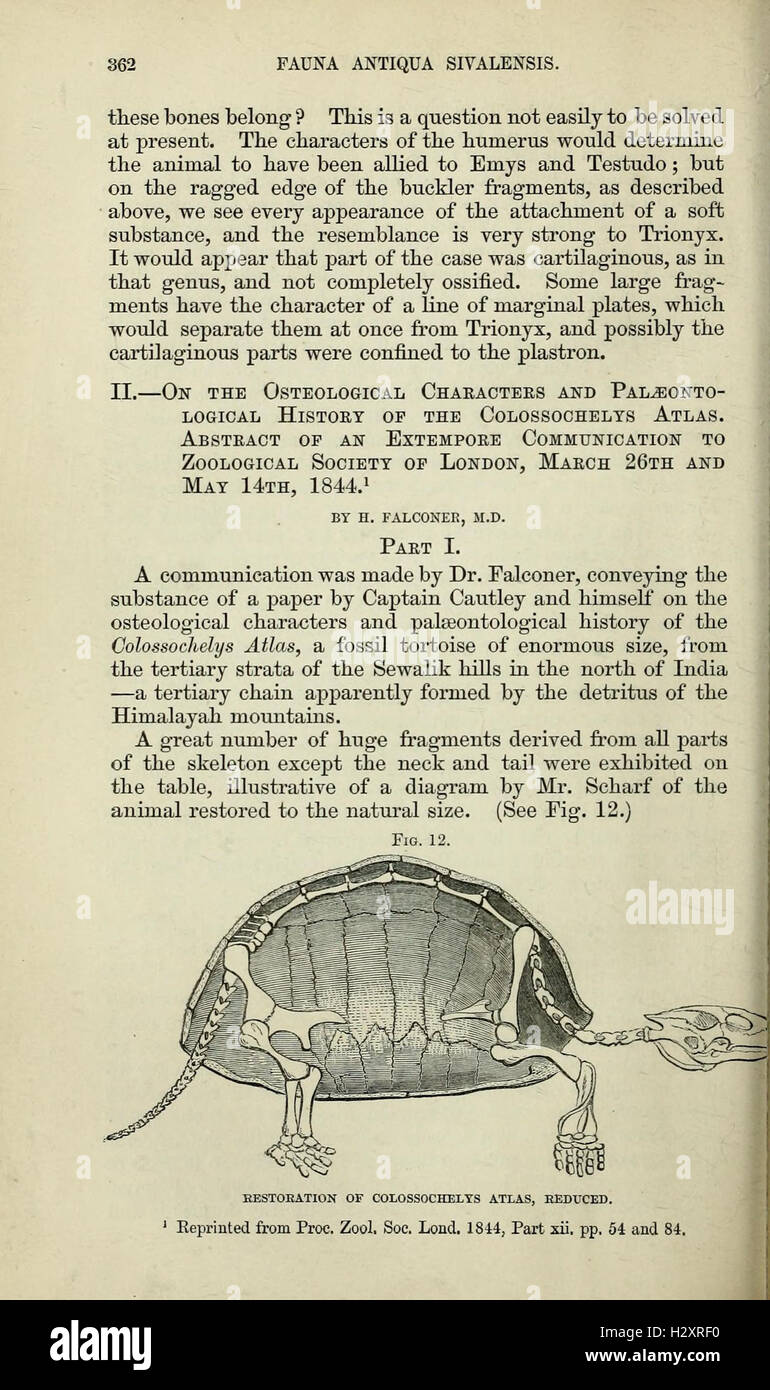 Map of falconer hi-res stock photography and images - Alamy