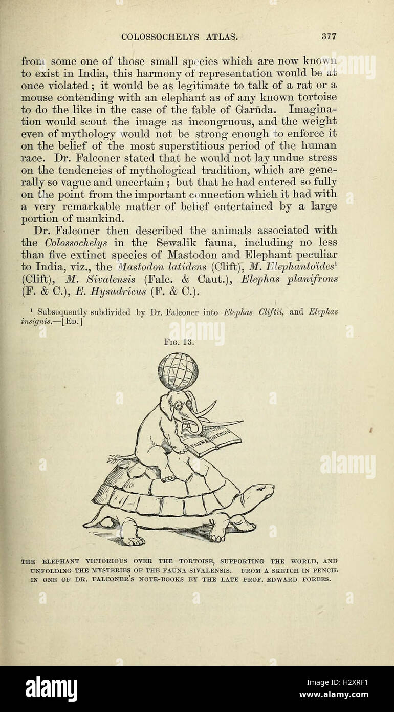 Map of falconer hi-res stock photography and images - Alamy