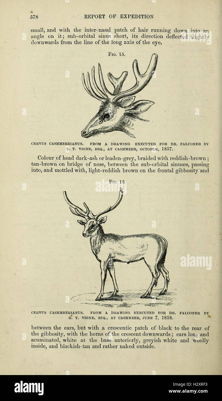 Map of falconer hi-res stock photography and images - Alamy