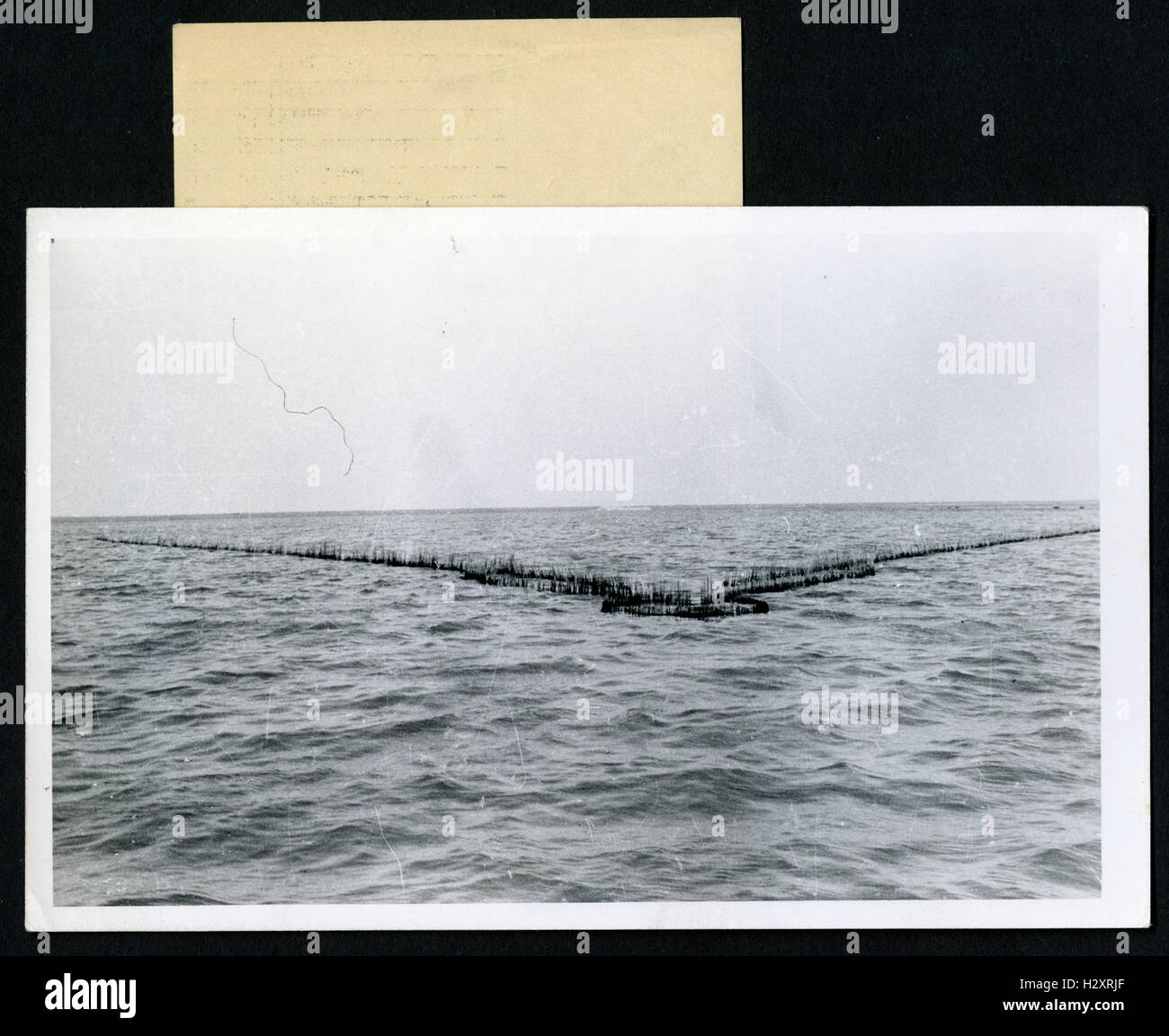 This collection features photographs capturing the landscape, marine ...