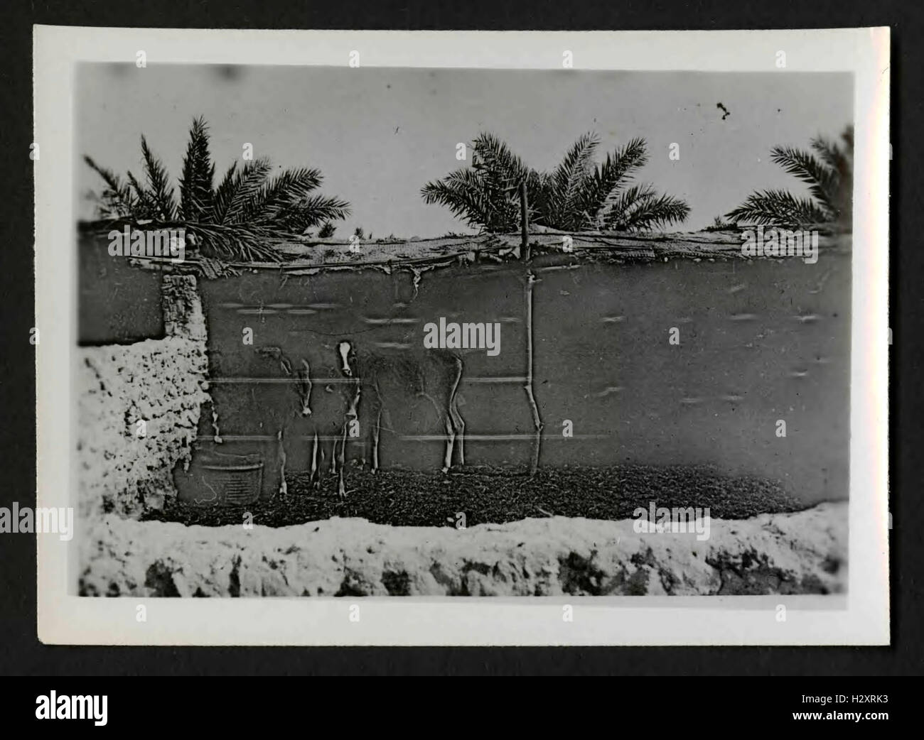 This collection of photographs showcases the natural beauty and ...