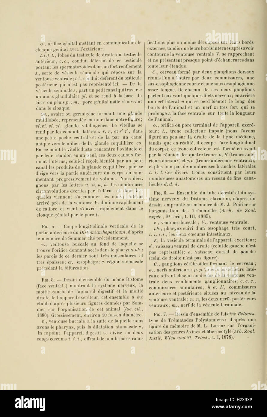 This atlas provides detailed comparative anatomical illustrations of ...