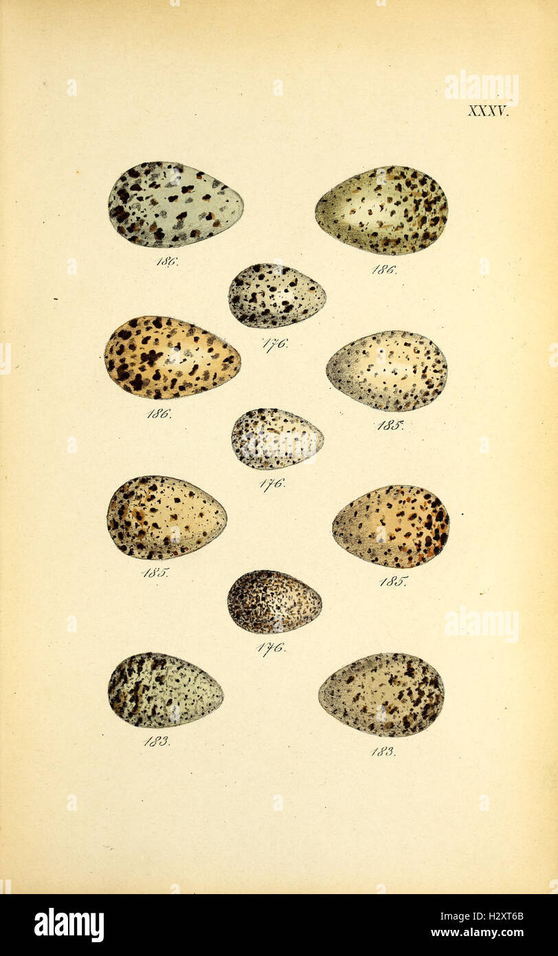 This work features detailed colored plates illustrating Belgian birds ...