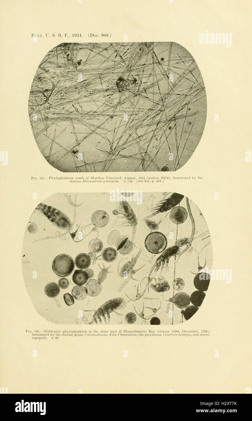 This study focuses on the plankton populations found in the offshore ...