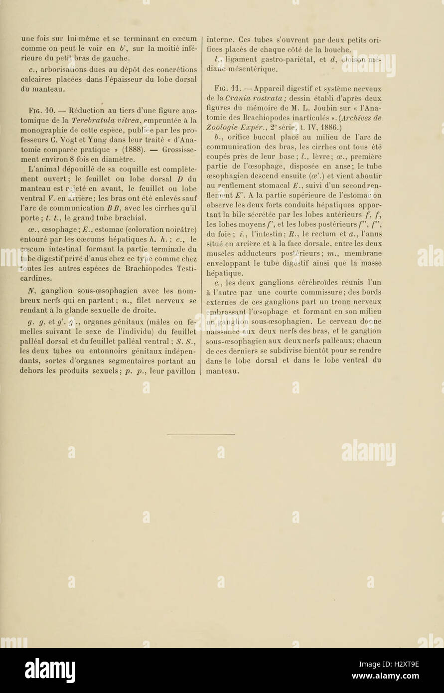 This comparative anatomy atlas focuses on the study of invertebrates ...