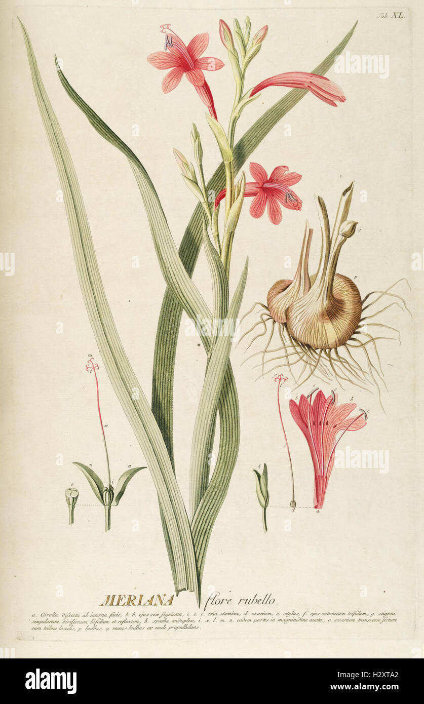 This botanical work features selected plants grown in the gardens of ...