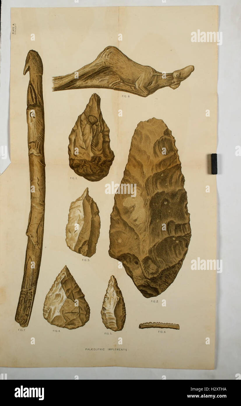 This book explores the prehistoric period in Europe, examining the ...