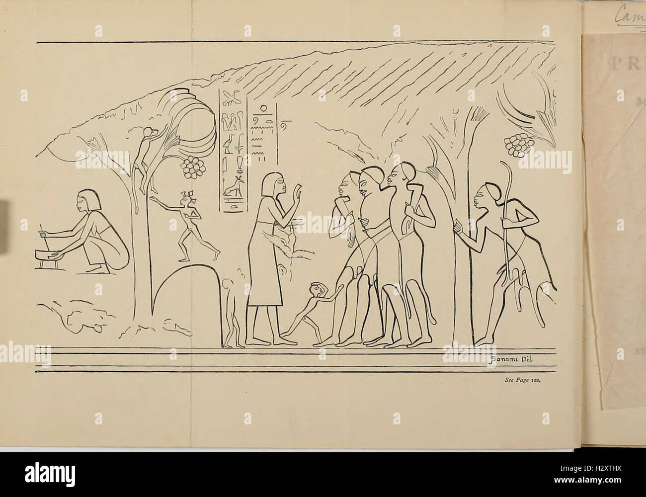 Primeval man hi-res stock photography and images - Alamy