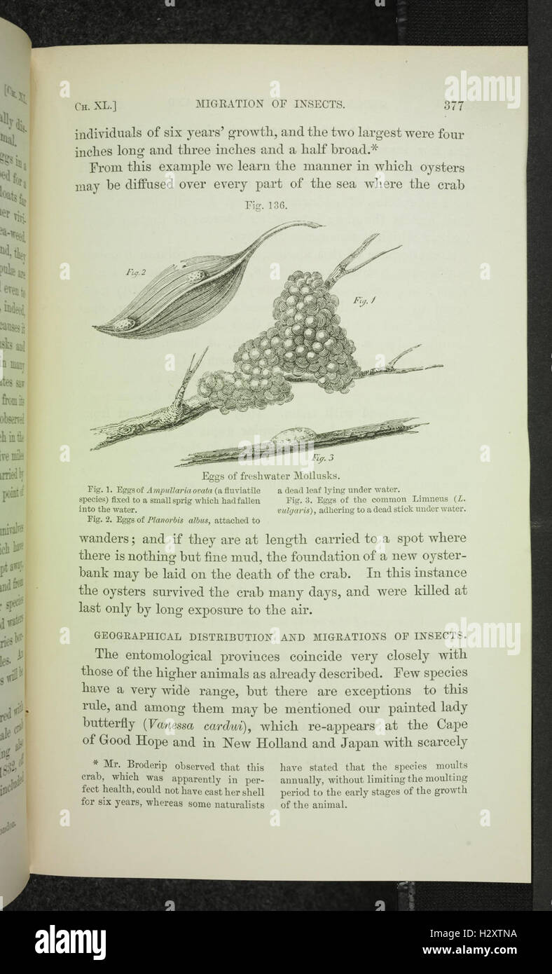 This text outlines the fundamental principles of geology, including ...