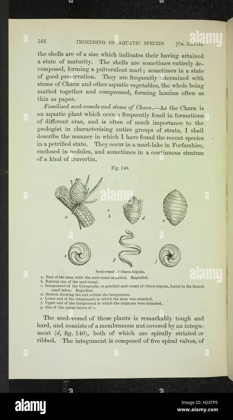 This work discusses fundamental geological principles, including the ...