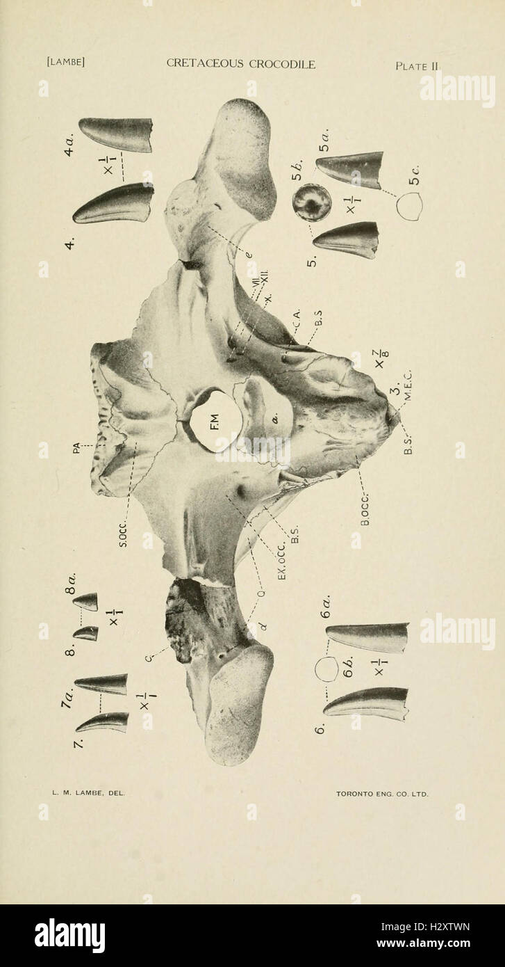 This journal presents scientific findings, research papers, and ...