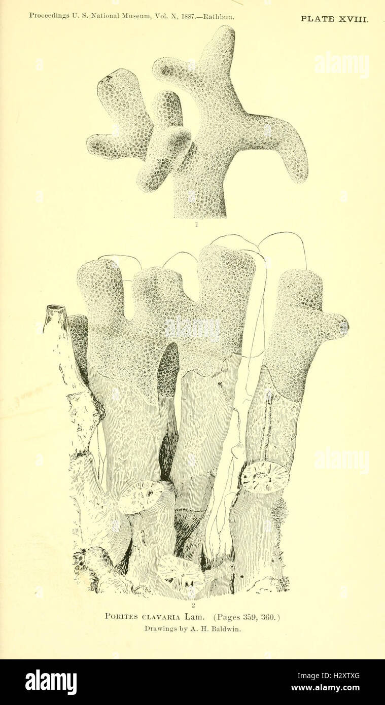 This publication features scientific articles and research from the ...