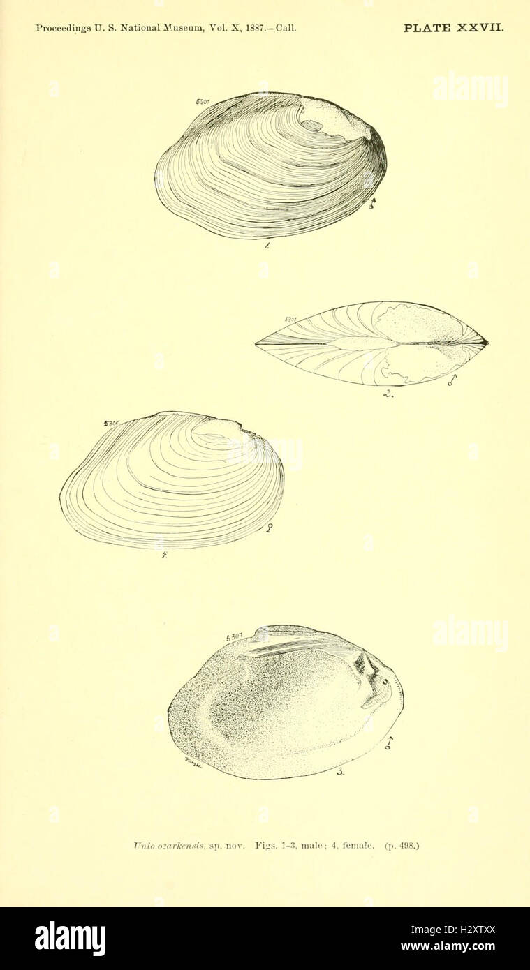 The proceedings of the United States National Museum, featuring ...