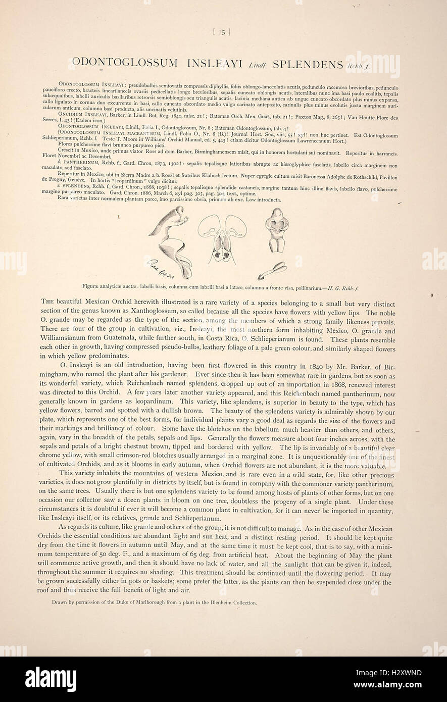 A work detailing the species and characteristics of orchids, with a ...