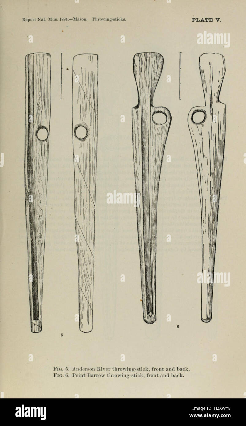 A detailed report from the United States National Museum, summarizing ...