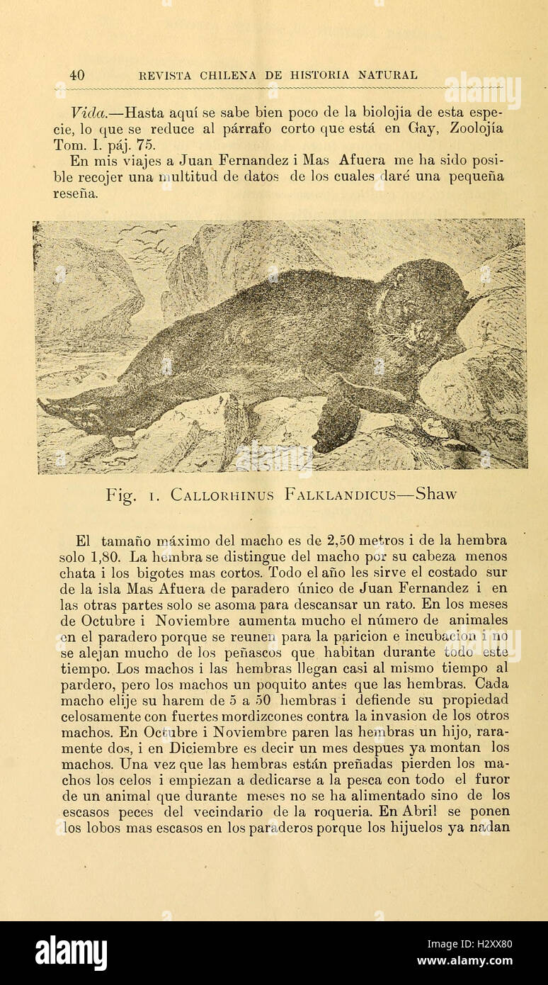This page from the Chilean Journal of Natural History features a ...