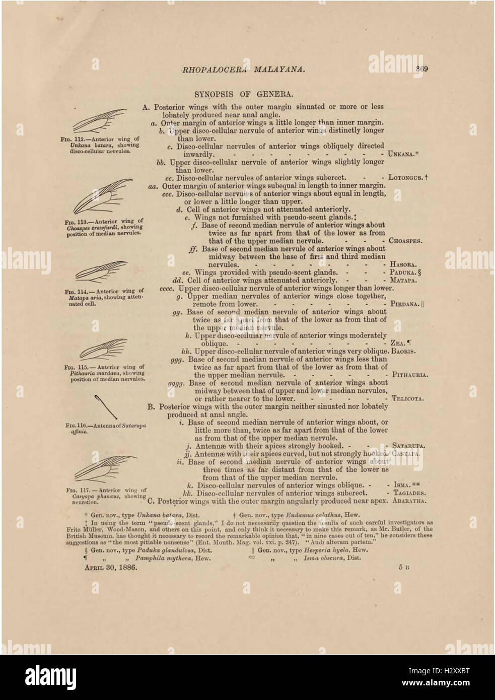 Rhopalocera Malayana -a description of the butterflies of the Malay ...
