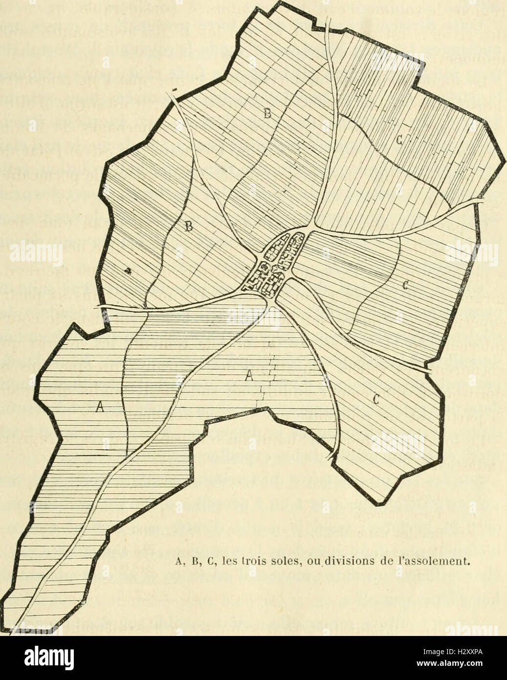 A social science work from 1886, employing observational methods to ...