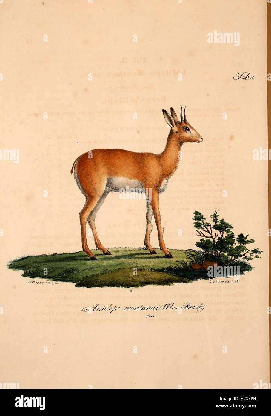 This atlas features detailed maps and illustrations documenting travels ...