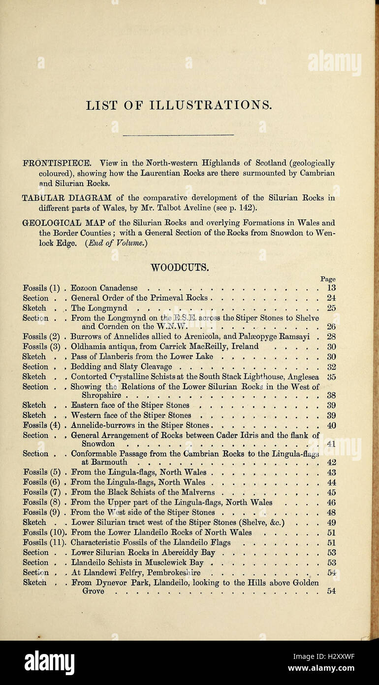 Silurian fossil land hi-res stock photography and images - Alamy