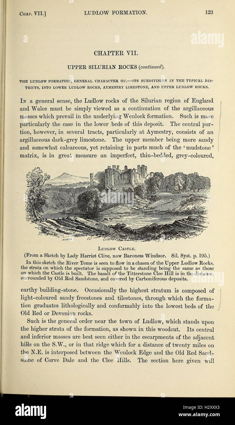 A detailed work on the geology and paleontology of Silurian period ...
