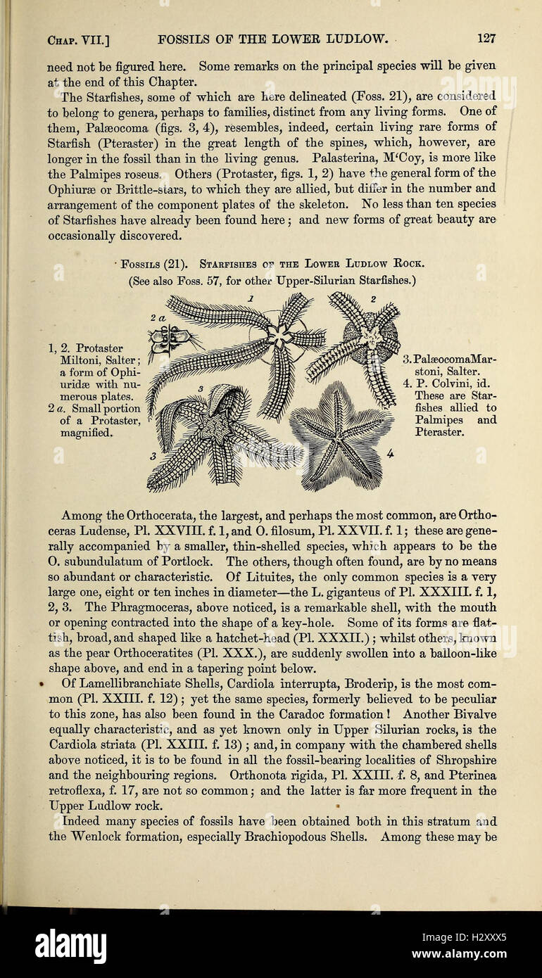 A geological work discussing the Silurian period, including its rock ...