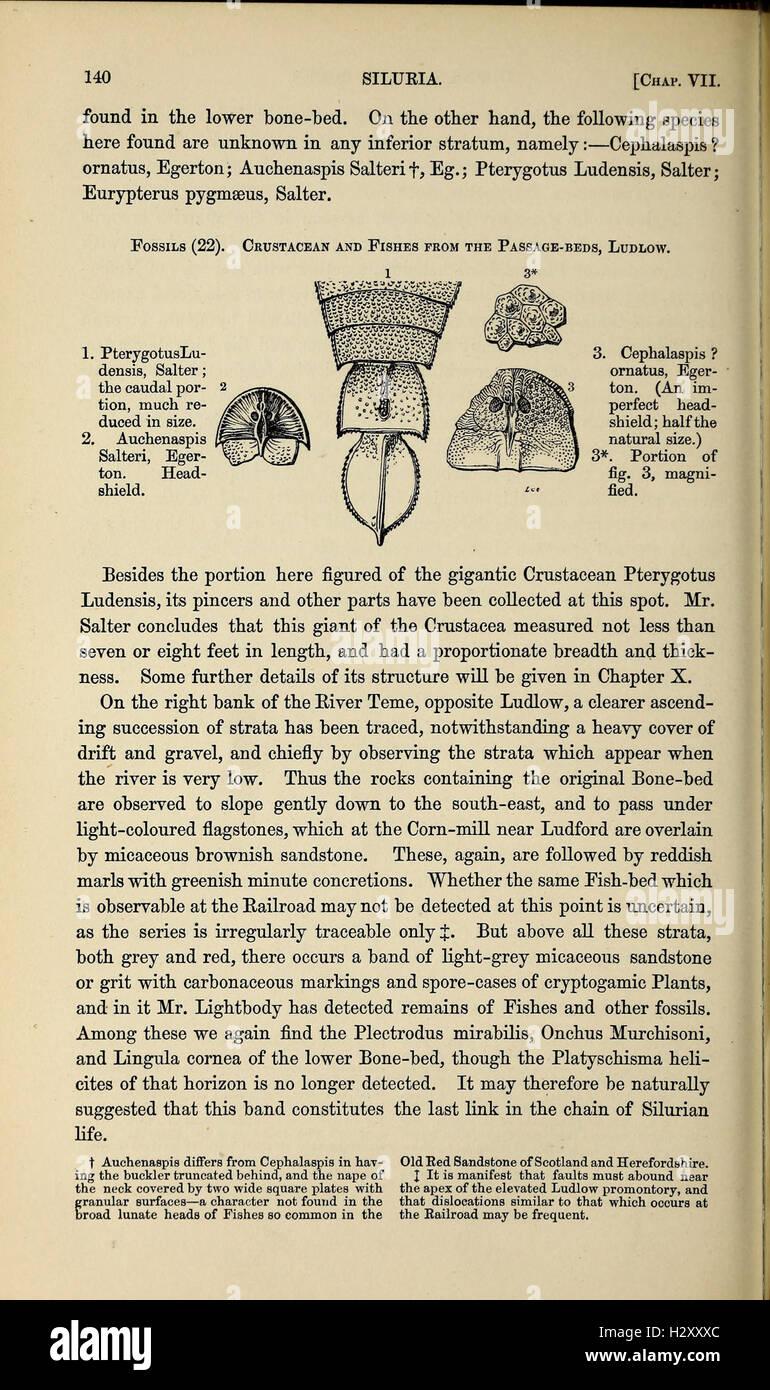 This page from 'Siluria' provides a detailed account of the geological ...