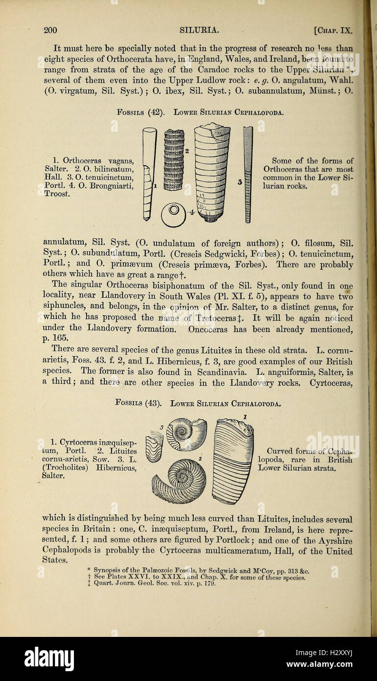 ‘Siluria’ provides geological and paleontological insights into the ...