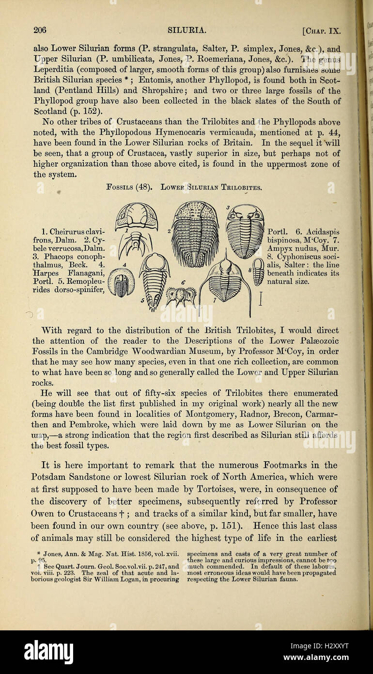 A historical work on Siluria, detailing the geological and ...