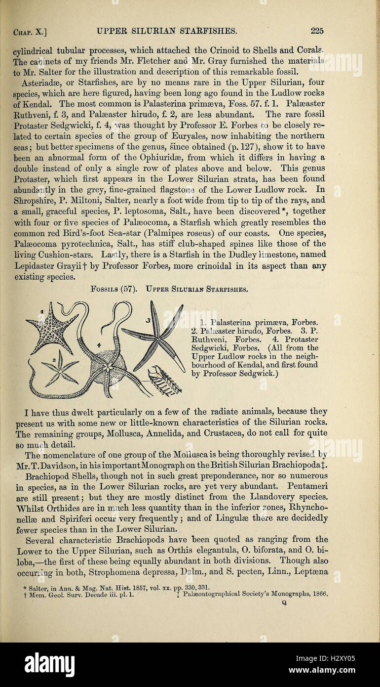 A scientific work on Silurian geology, exploring the Earth's geological ...