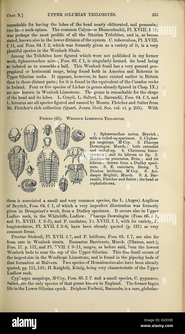 Siluria is a detailed study of ancient marine life, specifically ...