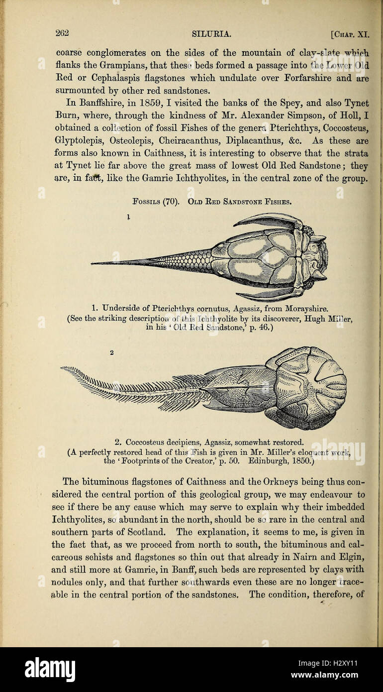 'Siluria' explores the geological and biological history of the ...
