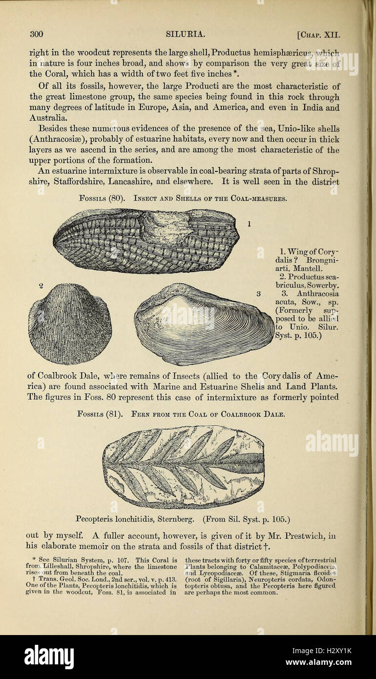 Siluria is a geological work detailing the Silurian period, offering ...