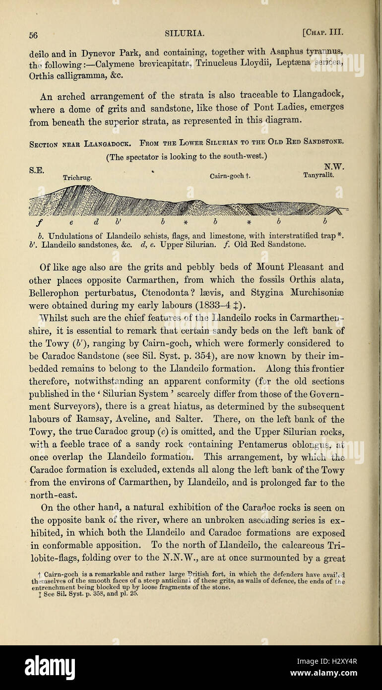 This paleontological work examines the Silurian period, focusing on the ...